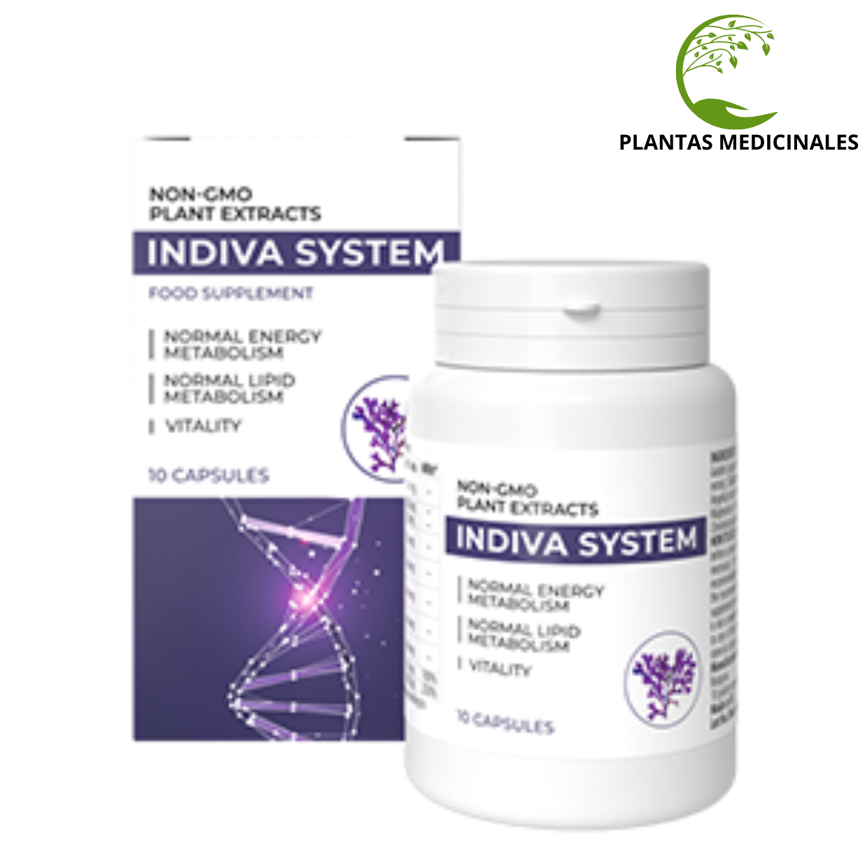 InDiva System: Farmacia, Precio y Experiencia - Plantas Medicinal